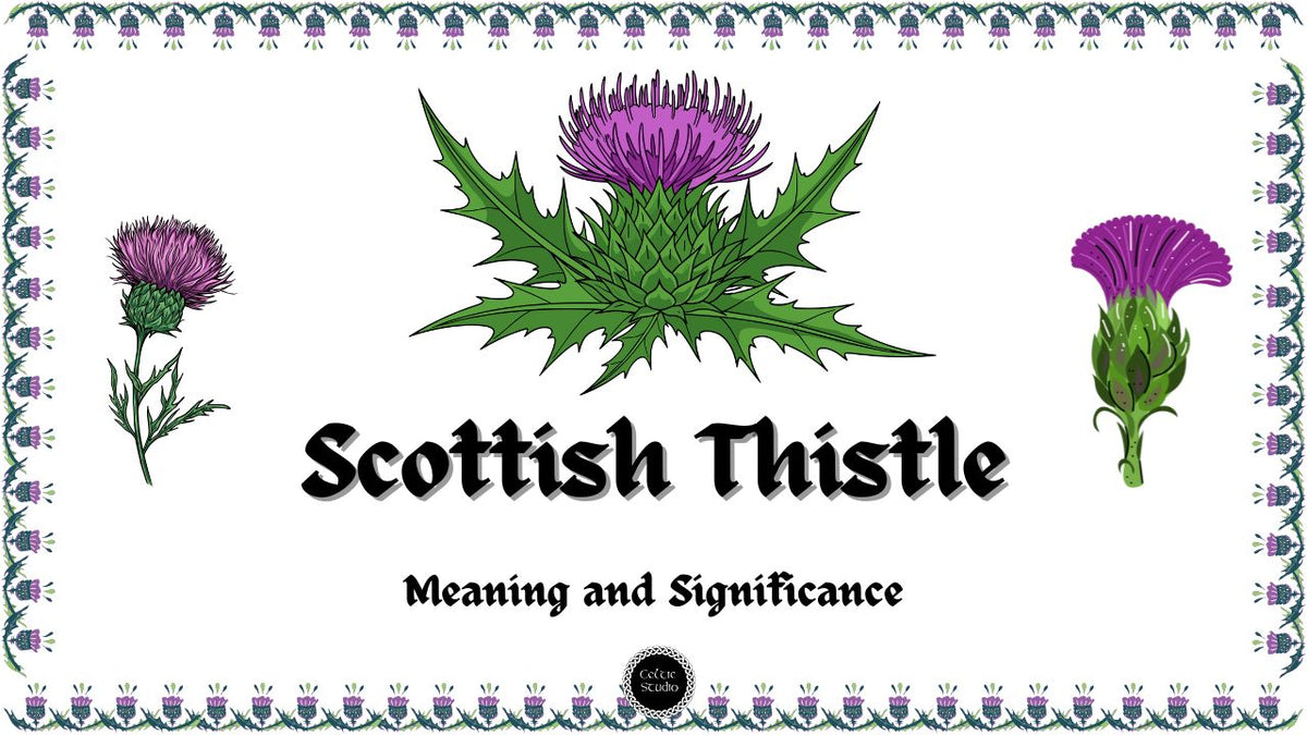 Scottish Thistle: Meaning, History & Symbol of Scotland – Celtic Studio