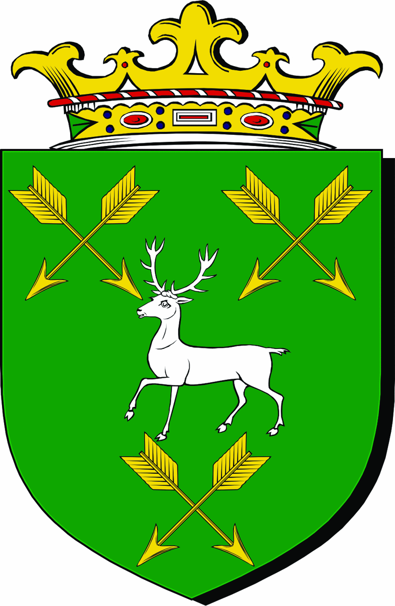 Hennessay: Irish Coat of Arms, Family Clan Crest – Celtic Studio