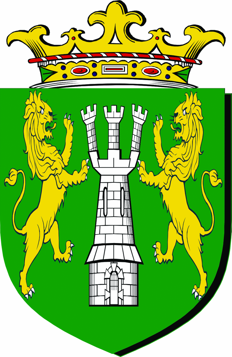 Shaughnessy: Irish Coat of Arms, Family Clan Crest – Celtic Studio
