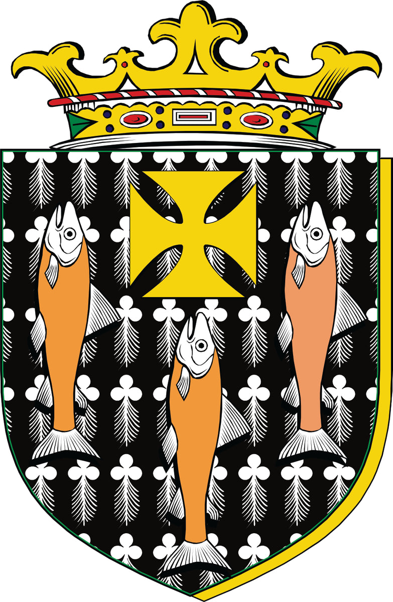 Sammons Irish Coat of Arms Regular Buckle – Celtic Studio