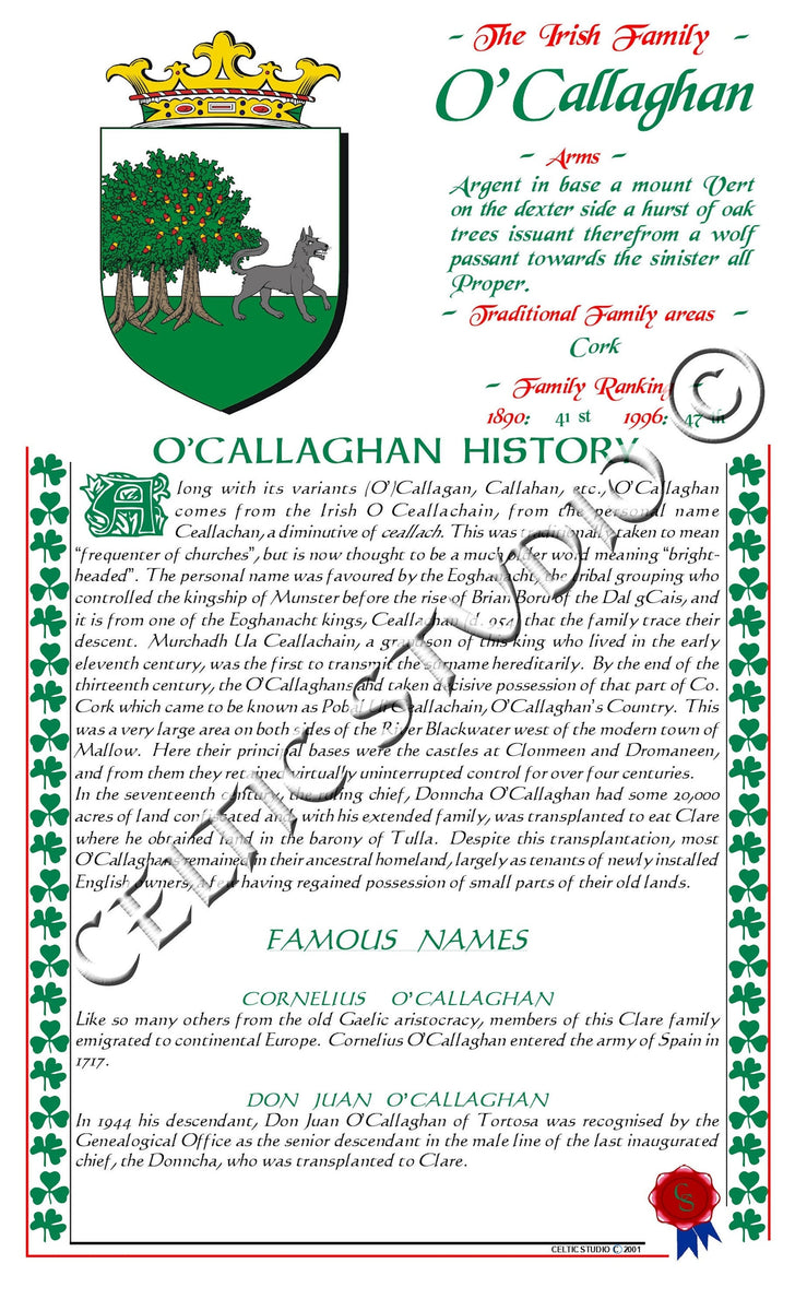Callahan Irish Family History – Celtic Studio