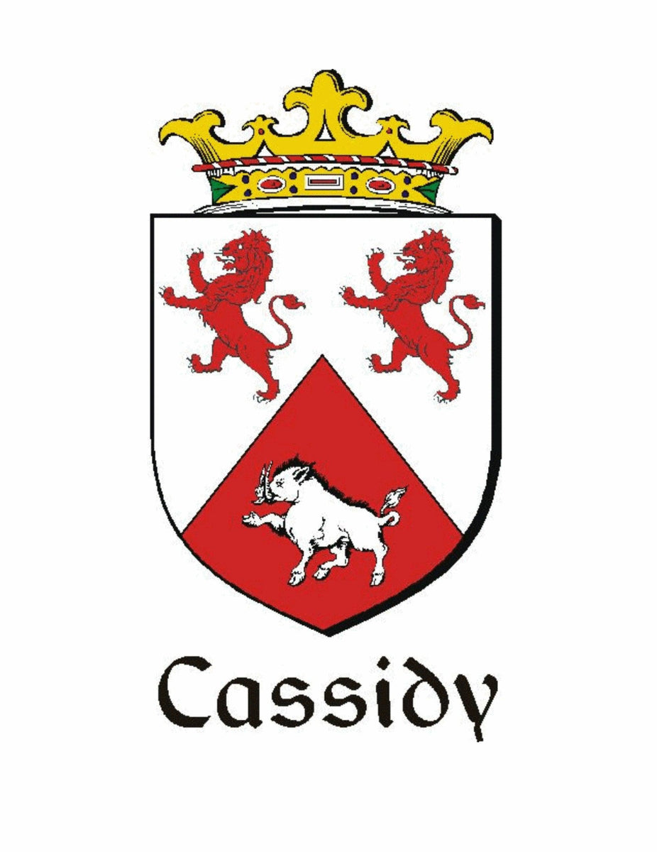Cassidy Irish Coat of Arms Money Clip – Celtic Studio